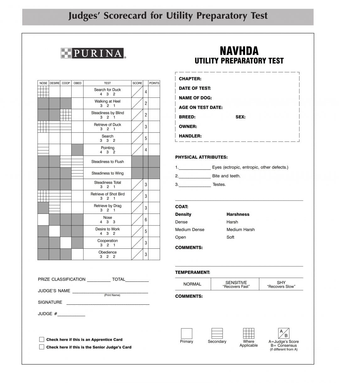 Aims Programs Test Rules – Florida Palmetto NAVHDA